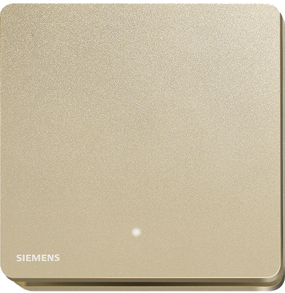 SIEMENS 西門子 DELTA® arina 16AX 單位單控開關掣 (LED燈)